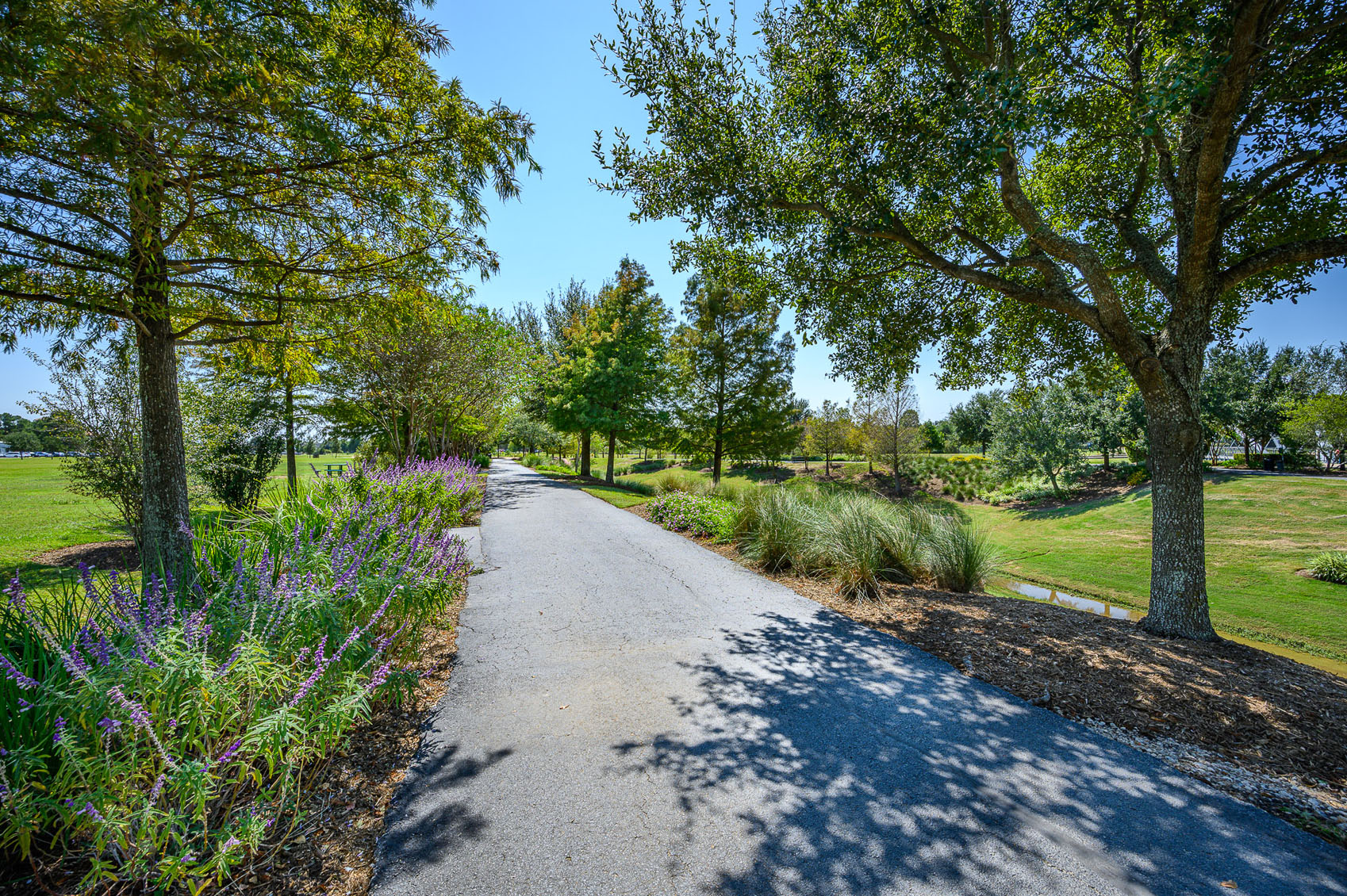 Rick Rice Park - Terry's Landscape | Katy, TX | Fort Bend County | West ...